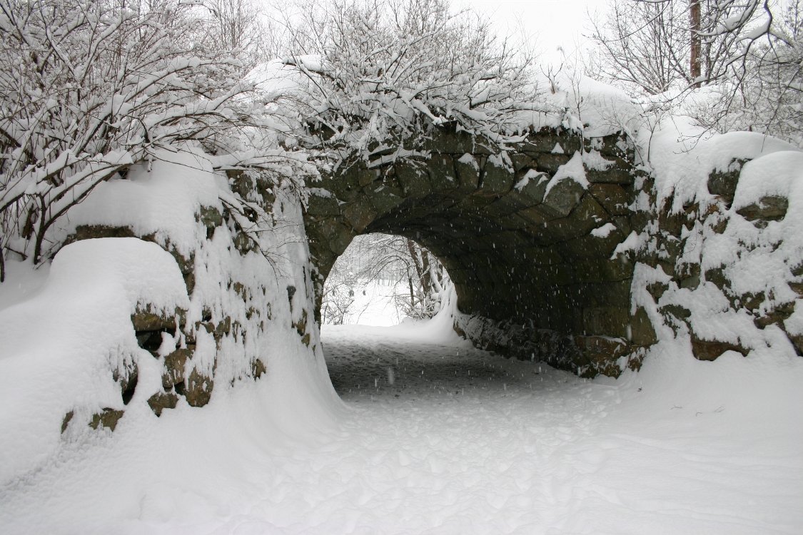 Brian J Finn Photography